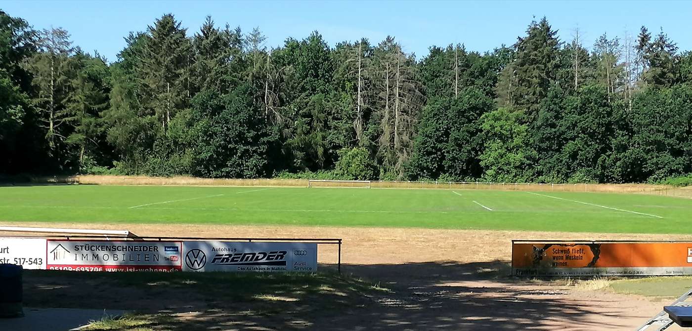 Wann kommt endlich die Flutlichtanlage für den FSV Bischofsheim? | FDP ...